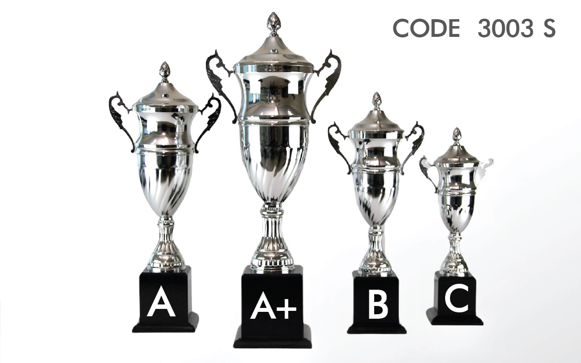  CODE 3003 S SILVER Trophyland 